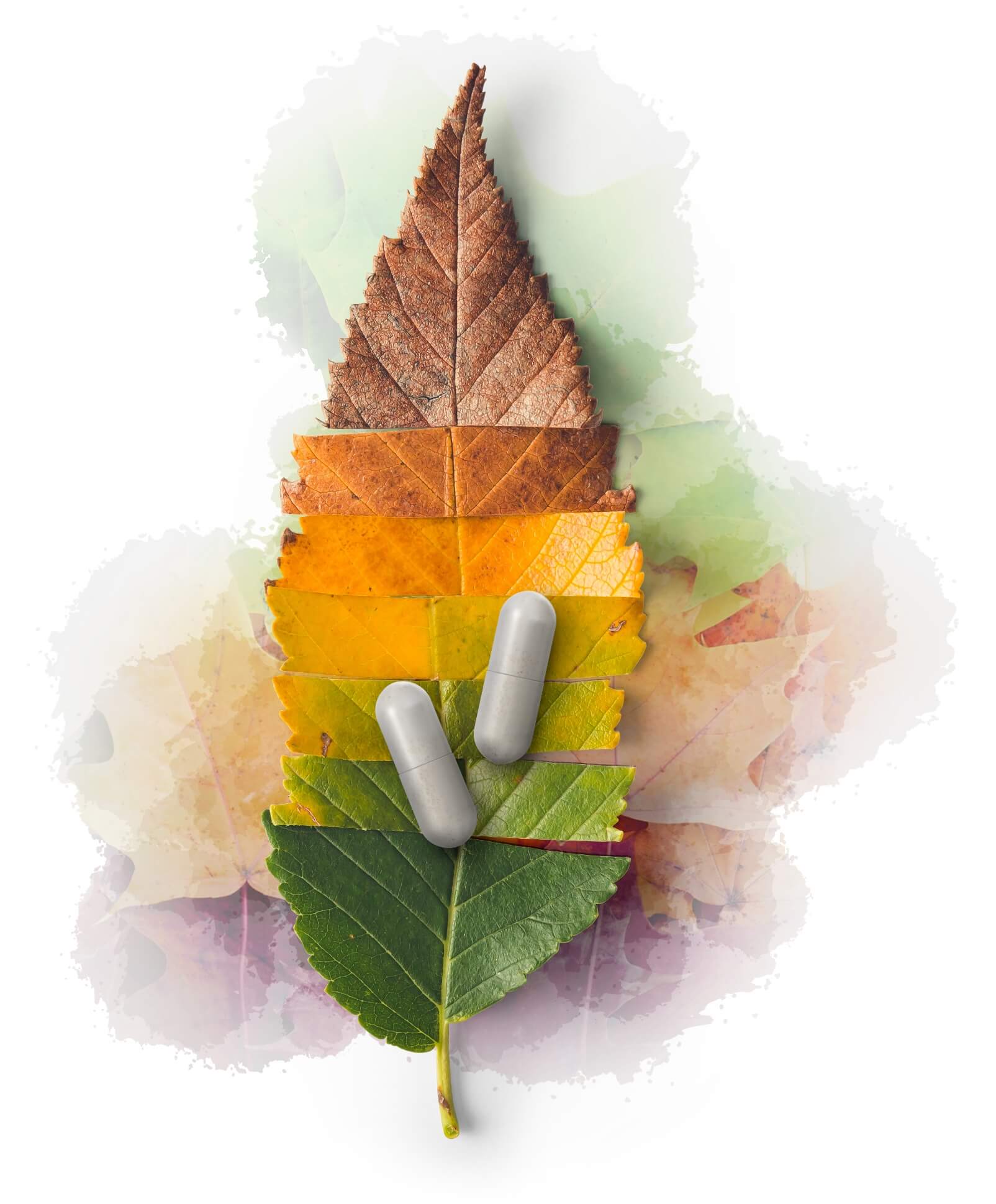 The Healthway Store | Your One Stop Health Shop